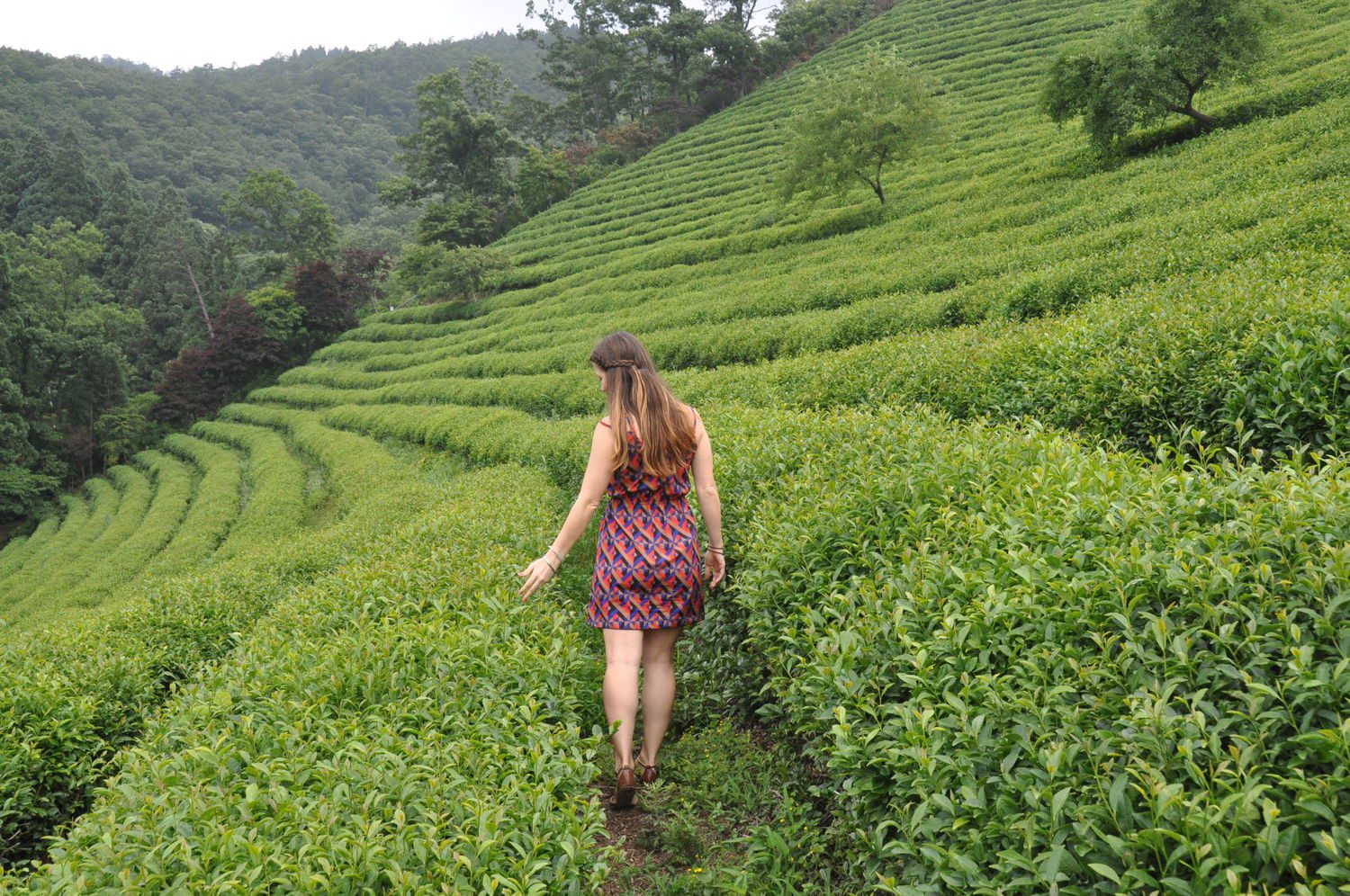 22 Fun Things To Do in South Korea | Two Wandering Soles