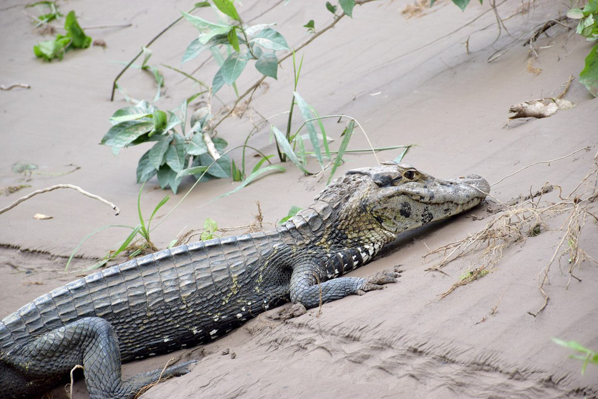 21 Things to Do in Peru You Can't Miss | Two Wandering Soles