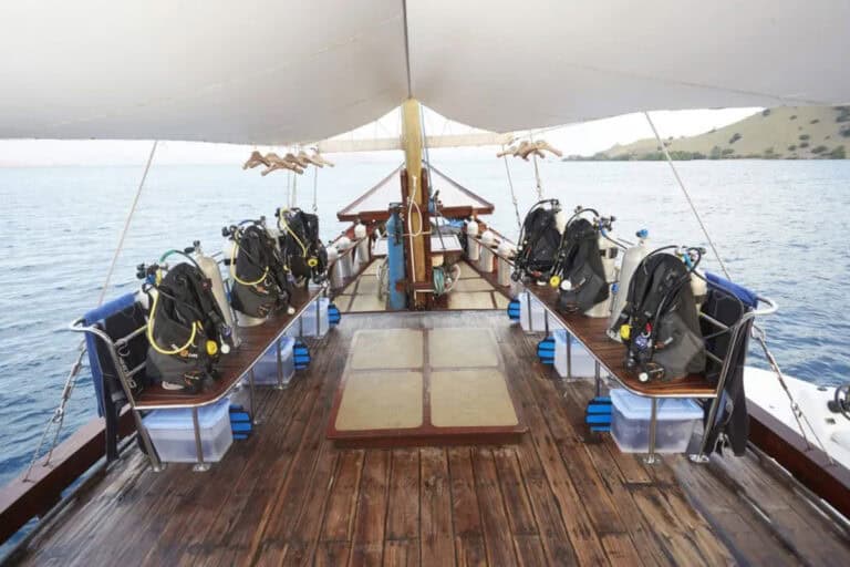 Best Liveaboards in Indonesia for Every Budget (+ Expert Tips!) | Two ...