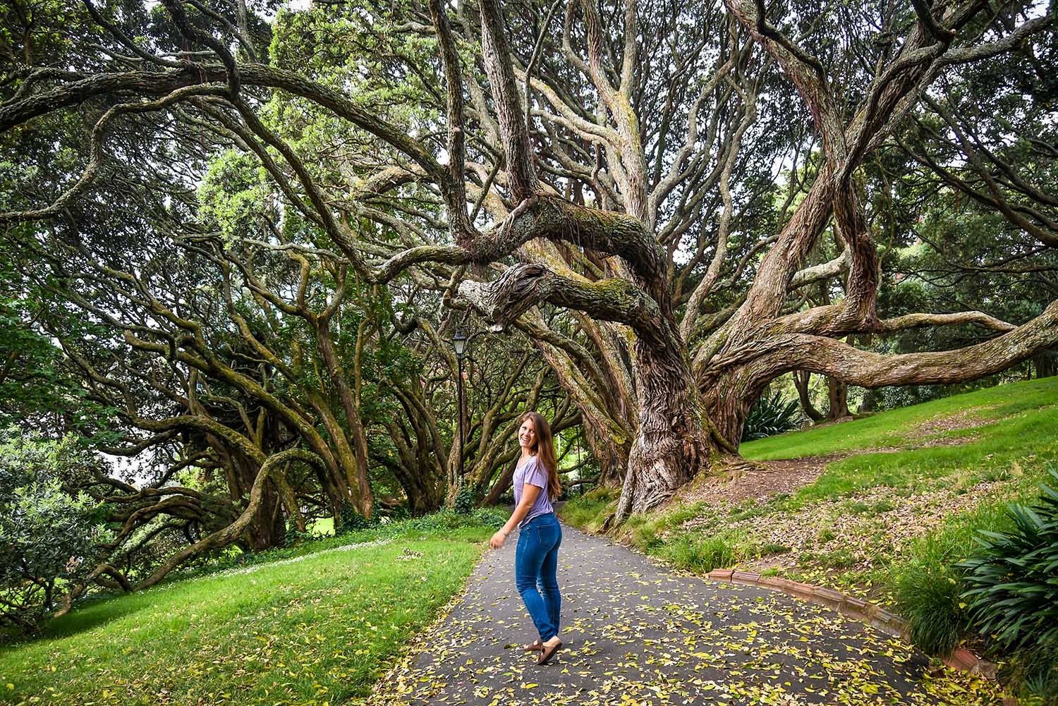 31 Fun Things to Do in Auckland, New Zealand | Two Wandering Soles