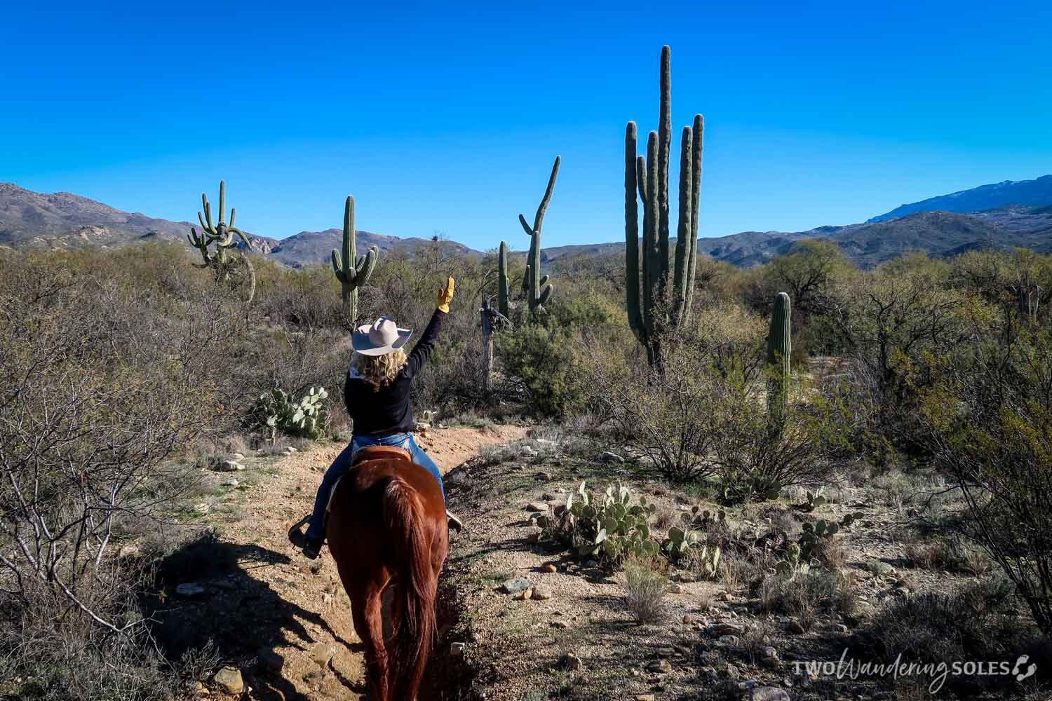 38 Fun Things to Do in Tucson, Arizona | Two Wandering Soles