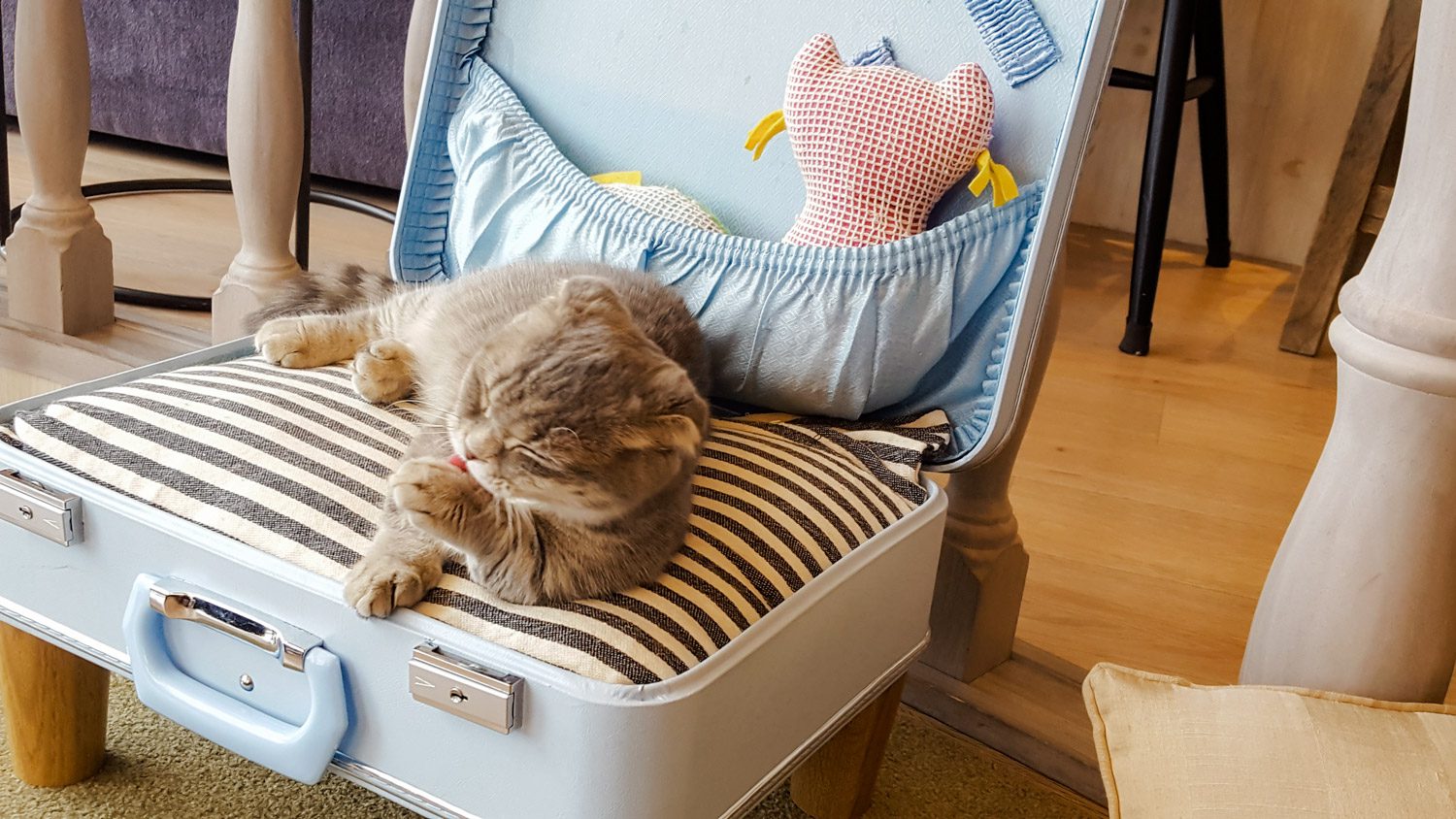 45 Best Things to Do in Tokyo, Japan | Two Wandering Soles