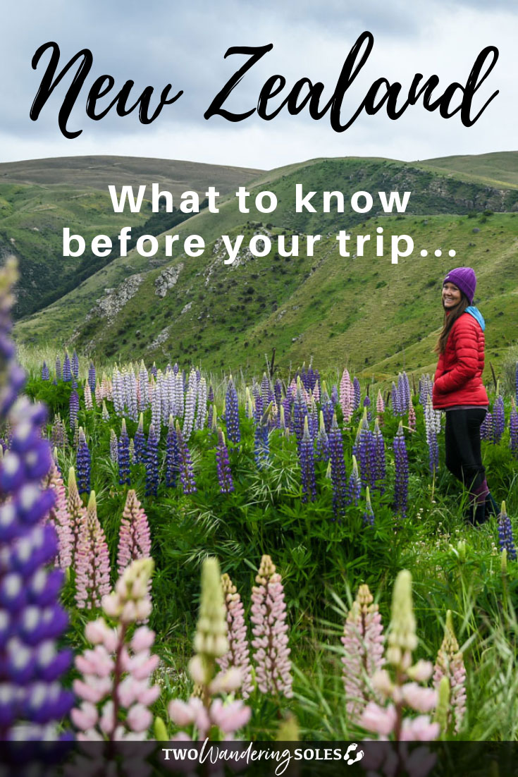 54 Things to Know Before Traveling in New Zealand | Two Wandering Soles