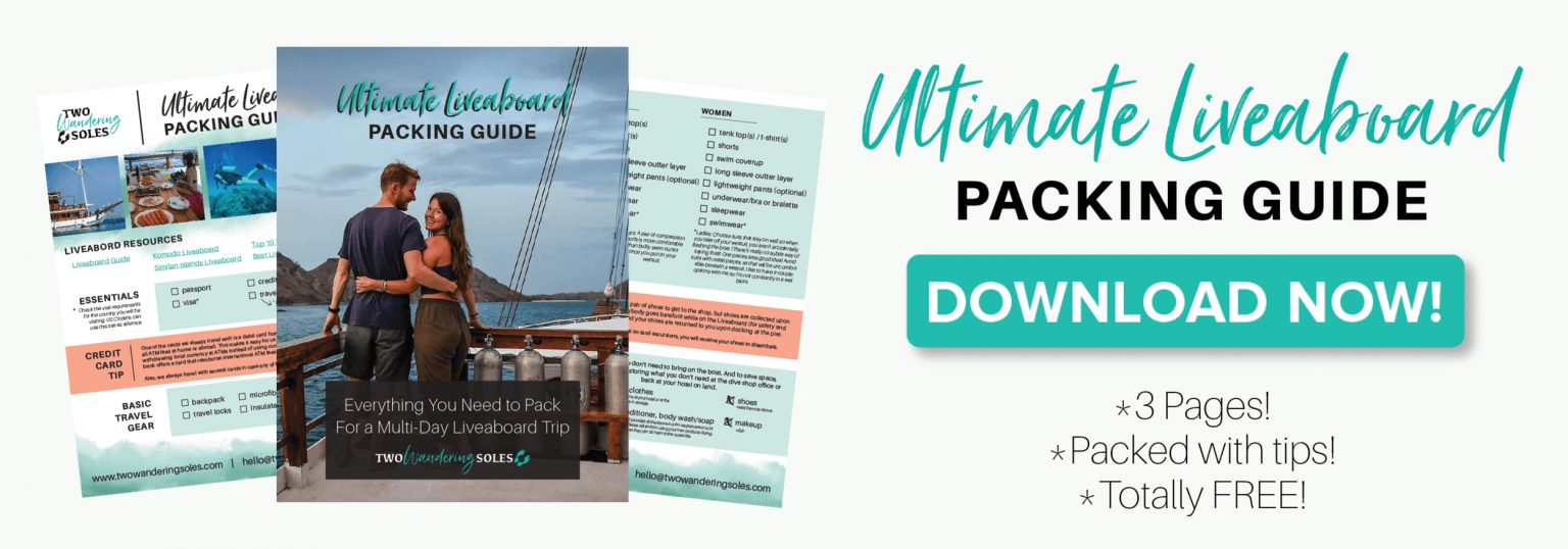 Best Liveaboards in Raja Ampat, Indonesia for Every Budget (+ Expert ...