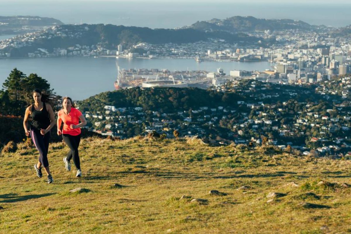 25 Things to Do in Wellington That You Can’t Miss | Two Wandering Soles