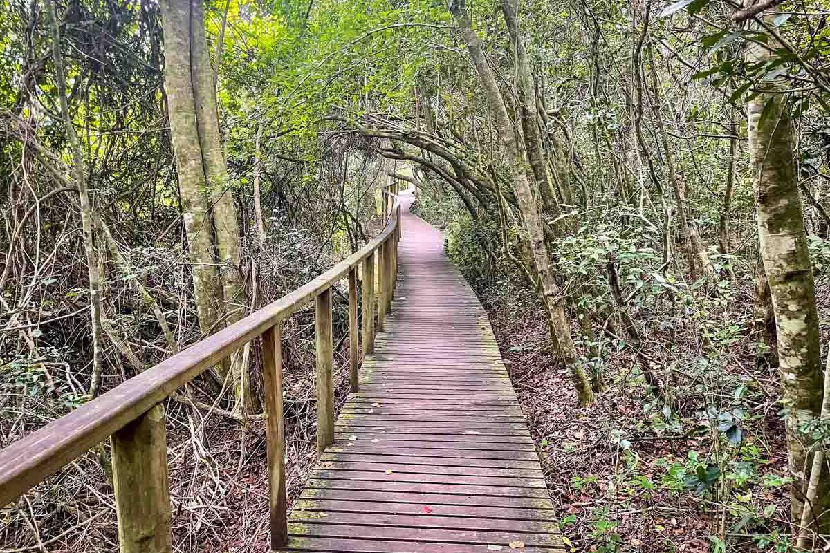 Garden Route South Africa: Essential Tips + Itinerary | Two Wandering Soles