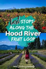Best Stops Along the Hood River Fruit Loop in Oregon | Two Wandering Soles