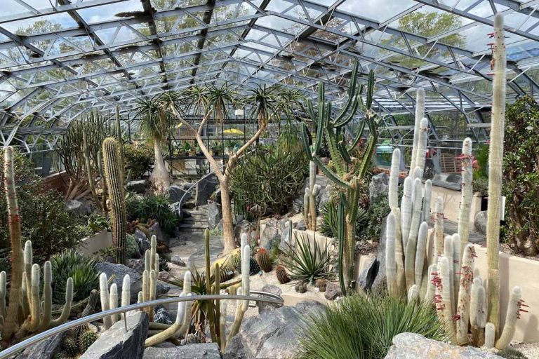 24 Fun Things to do in Inverness, Scotland | Two Wandering Soles