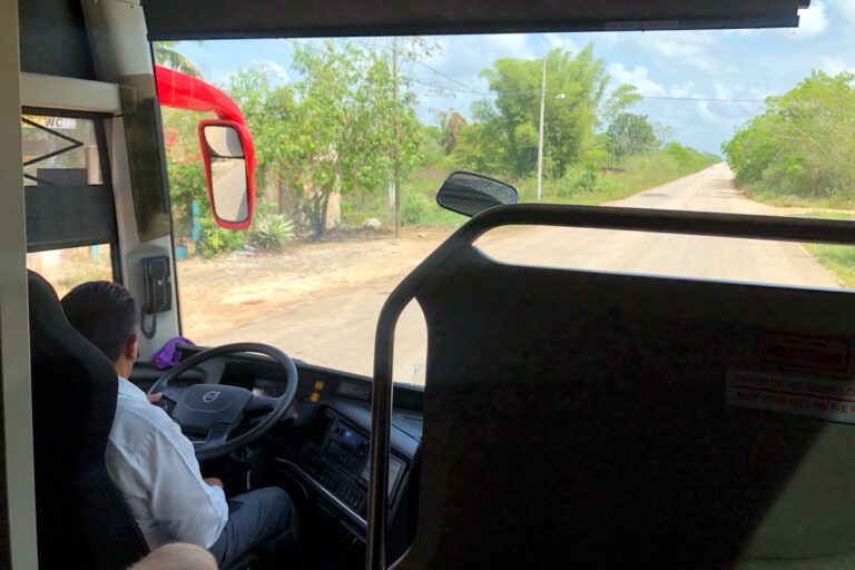 ADO Bus Service: BEST Way to Get Around Mexico | Two Wandering Soles