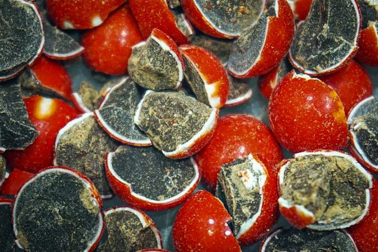 22 Best New Zealand Foods to Try (& what to skip!)
