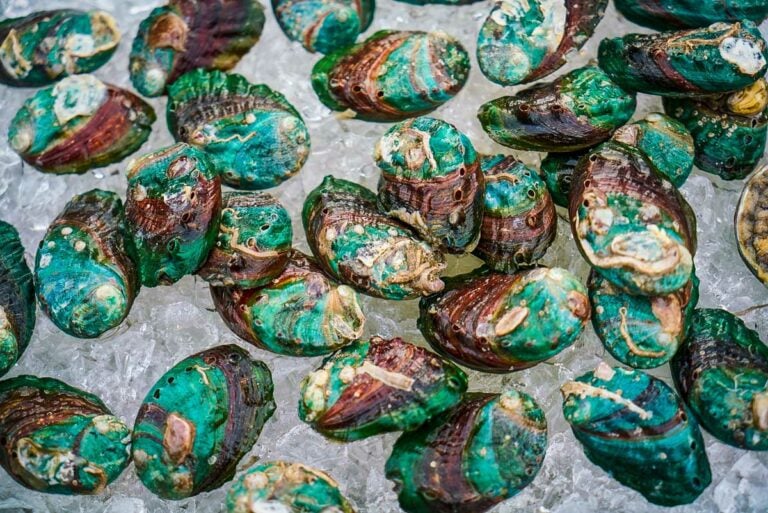 22 Best New Zealand Foods to Try (& what to skip!)