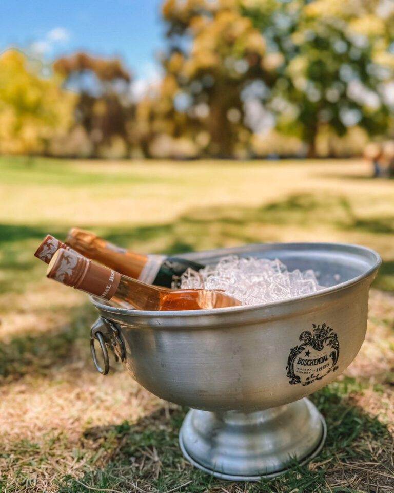 Franschhoek Wine Tram: ESSENTIAL Guide + Tips | Two Wandering Soles