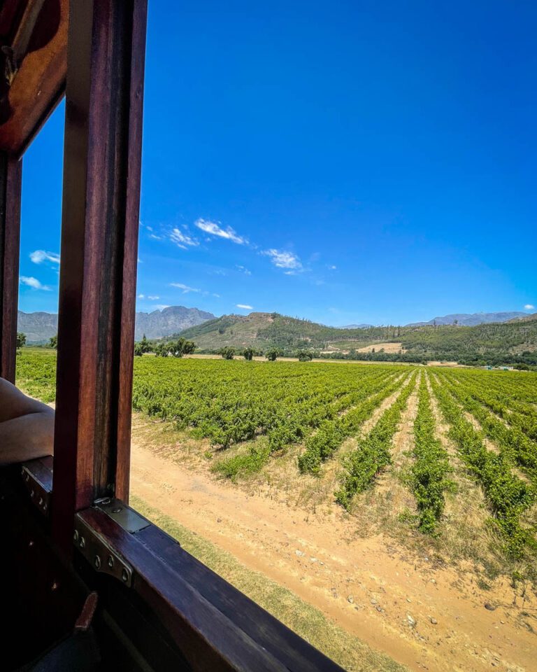 Franschhoek Wine Tram: ESSENTIAL Guide + Tips | Two Wandering Soles