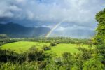 Best Time to Visit Hawaii: When to Go & When to Avoid