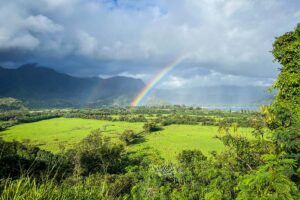 Best Time to Visit Hawaii: When to Go & When to Avoid