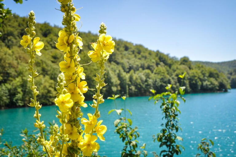 Best Time to Visit Croatia: When to Go & When to Avoid