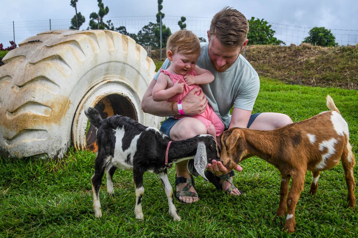30 Experiences in Hilo, Hawaii I’ll Never Forget | Two Wandering Soles