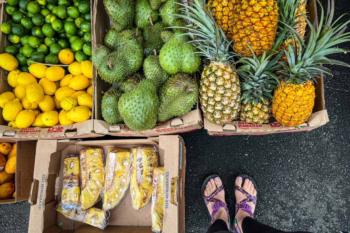 What Made Me Fall in Love With Kona, Hawaii