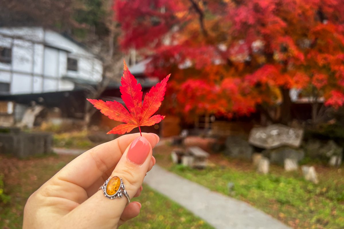 Autumn in Japan: Where & When to see Fall Foliage (2024)