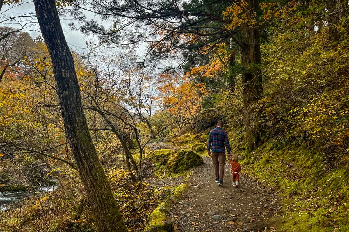 Autumn in Japan: Where & When to see Fall Foliage (2024)