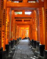 Fushimi Inari Shrine: Ultimate Guide for Visiting in 2024 | Two ...