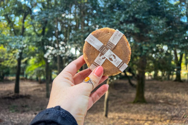 Nara Deer Park: Fun Facts & Tips for Visiting Japan’s Bowing Deer