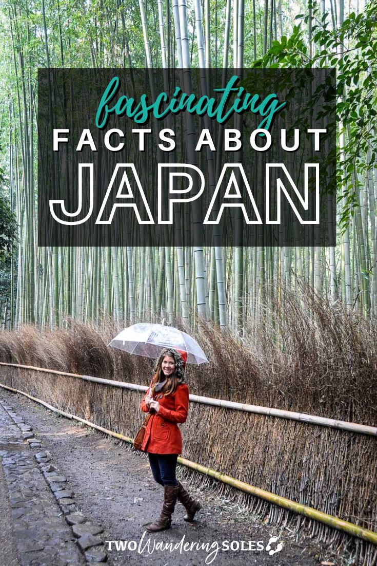 33 Interesting Facts About Japan (that may surprise you!)