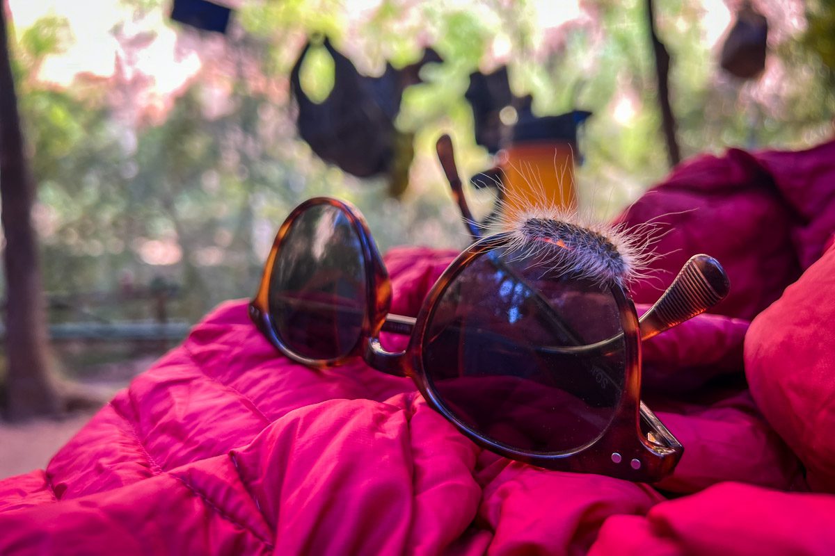Essential Havasupai Packing List: Don’t Forget These Things! | Two ...
