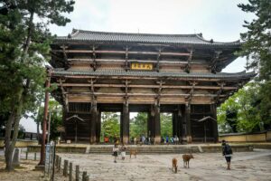Perfect Nara Day Trip Itinerary (map + hidden gems!) | Two Wandering Soles