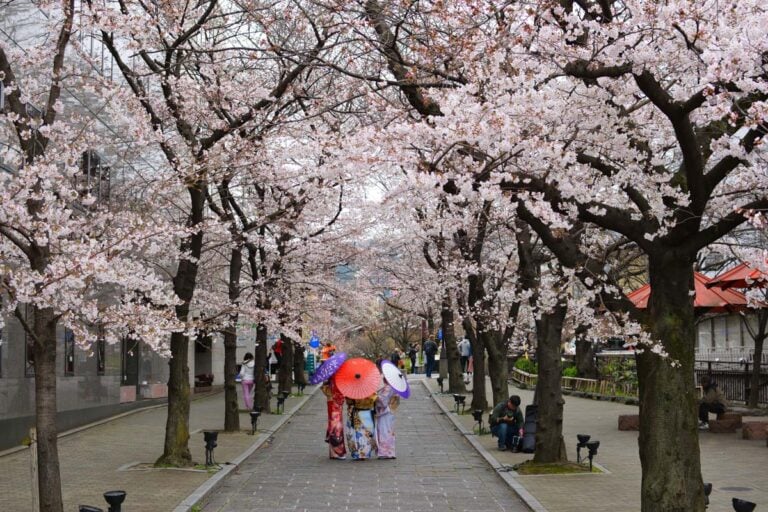 Spring in Japan: When & Where to See Cherry Blossoms (2025) | Two ...