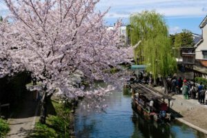 Spring in Japan: When & Where to See Cherry Blossoms (2025) | Two ...