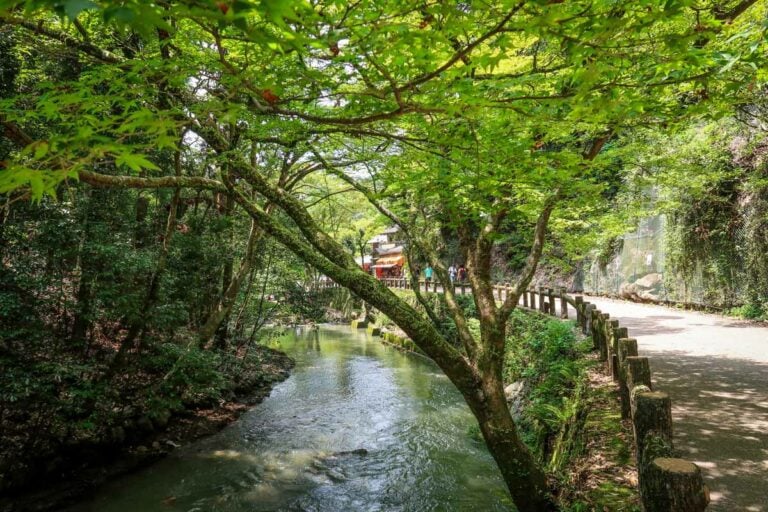 Minoh Park: Osaka’s Best Kept Secret | Two Wandering Soles