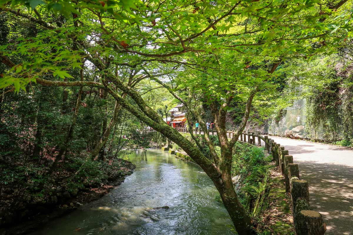 Minoh Park: Osaka’s Best Kept Secret | Two Wandering Soles