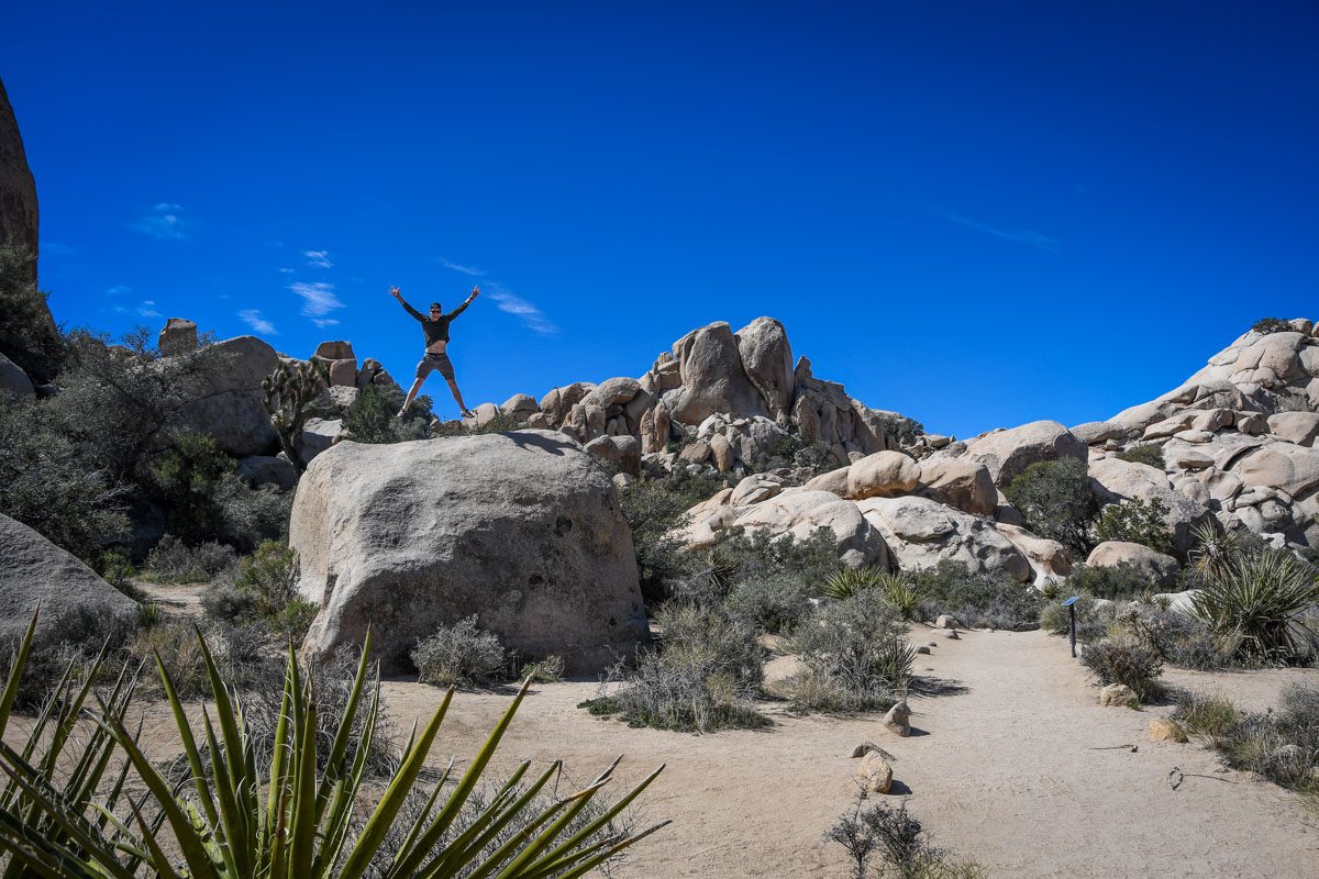 Perfect Joshua Tree Day Trip: Tips & Hidden Gems | Two Wandering Soles