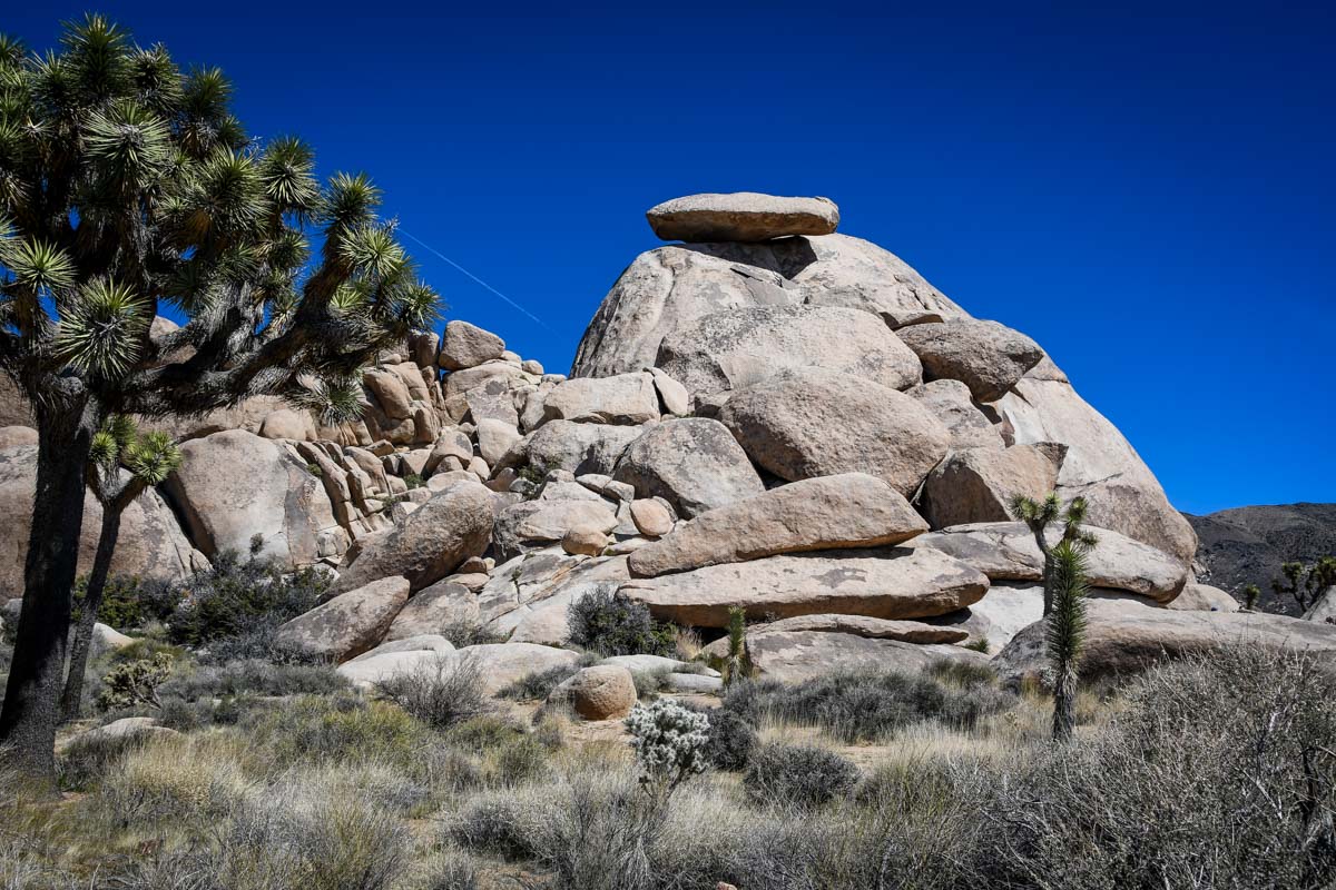 Perfect Joshua Tree Day Trip: Tips & Hidden Gems | Two Wandering Soles