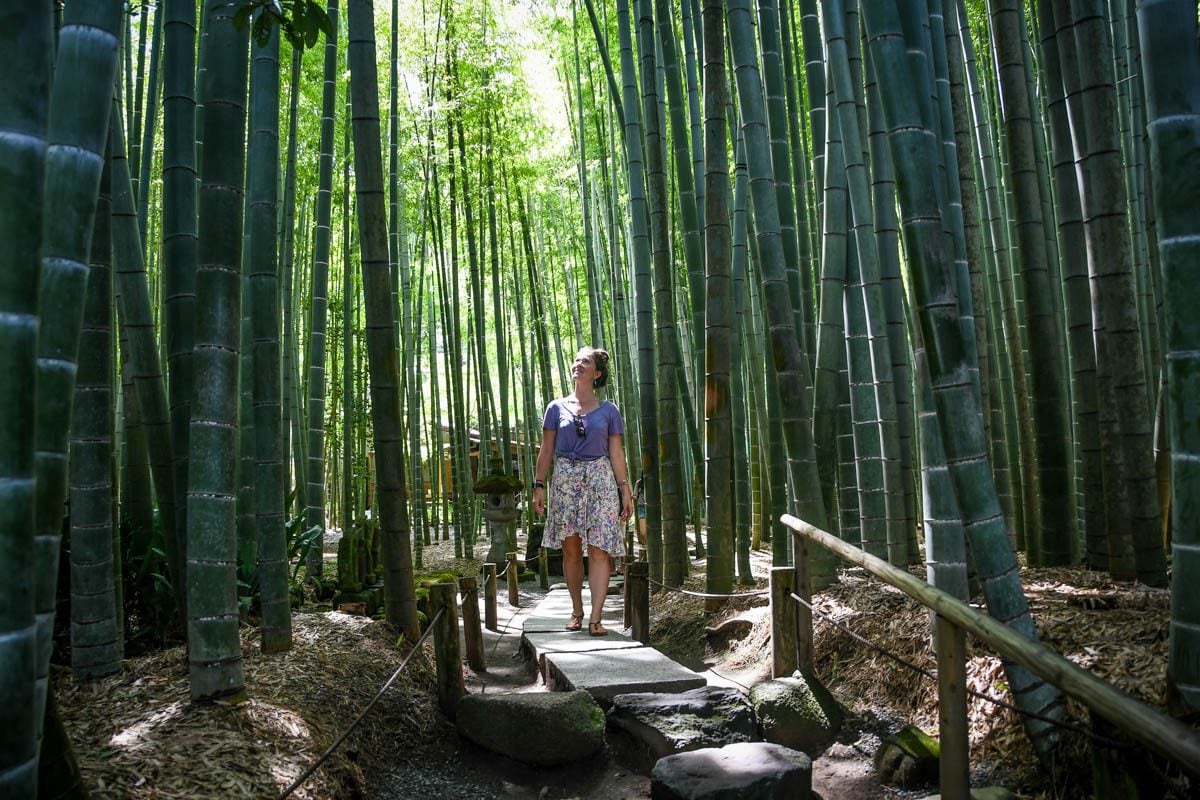 85 Helpful Japanese Words & Phrases to Know | Two Wandering Soles