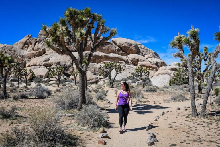 Perfect Joshua Tree Day Trip: Tips & Hidden Gems | Two Wandering Soles