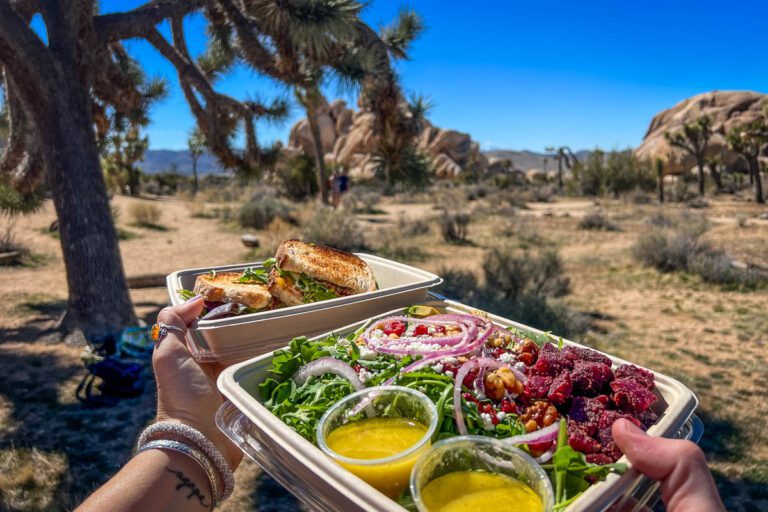 Perfect Joshua Tree Day Trip: Tips & Hidden Gems | Two Wandering Soles