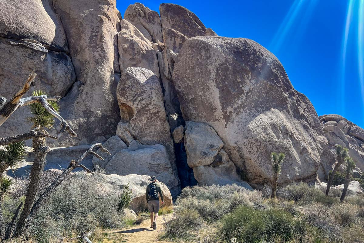 Perfect Joshua Tree Day Trip: Tips & Hidden Gems | Two Wandering Soles