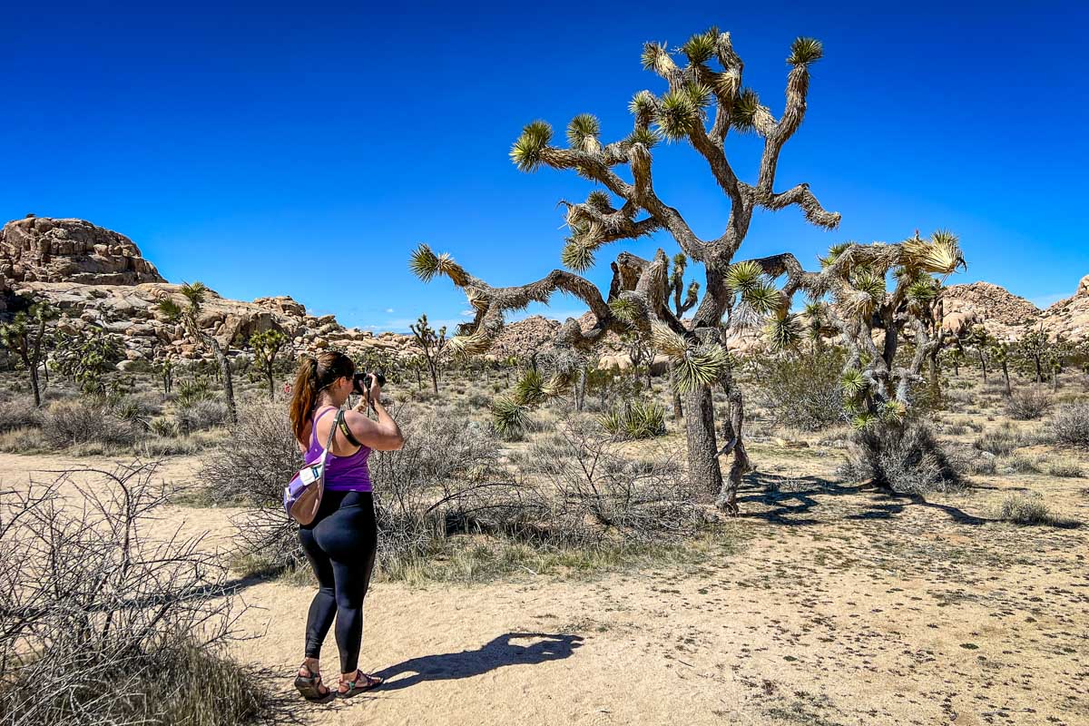 Perfect Joshua Tree Day Trip: Tips & Hidden Gems | Two Wandering Soles
