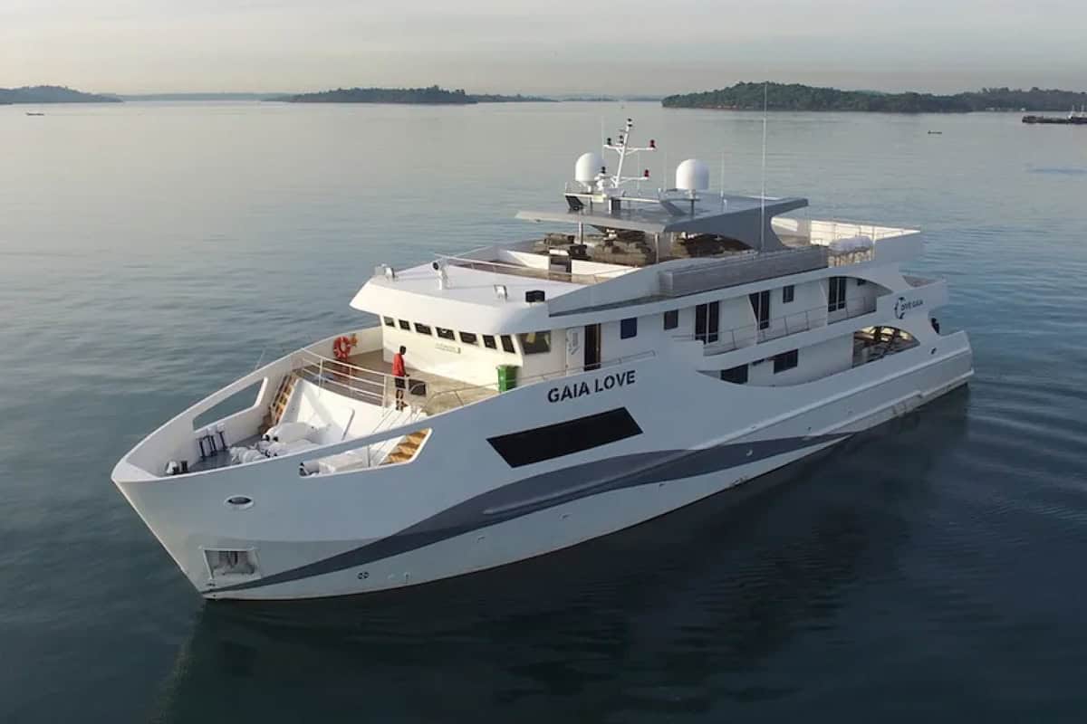 Best Liveaboards in Indonesia for Every Budget (+ Expert Tips!) | Two ...