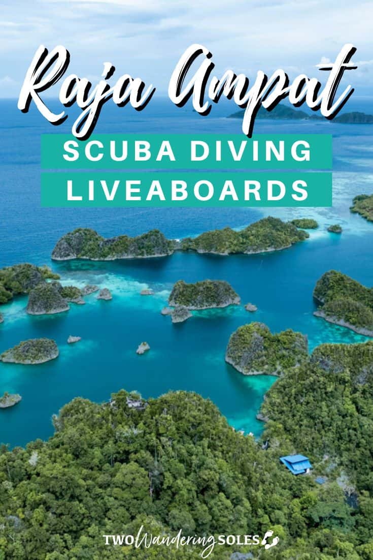 Best Liveaboards in Raja Ampat, Indonesia for Every Budget (+ Expert Tips!) | Two Wandering Soles