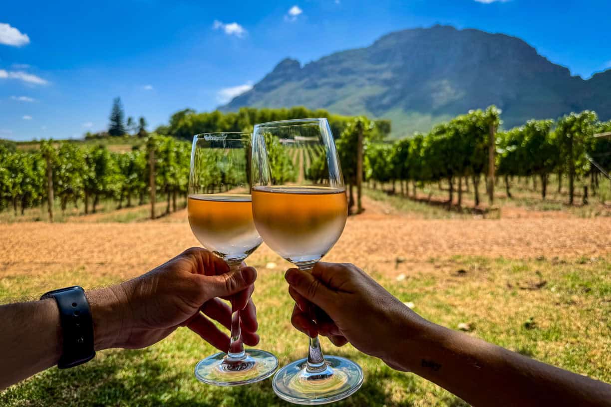 Absolute Best Wine Farms in Stellenbosch | Two Wandering Soles