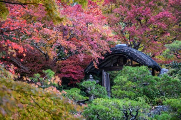 Autumn in Japan: Where & When to see Fall Foliage (2025)