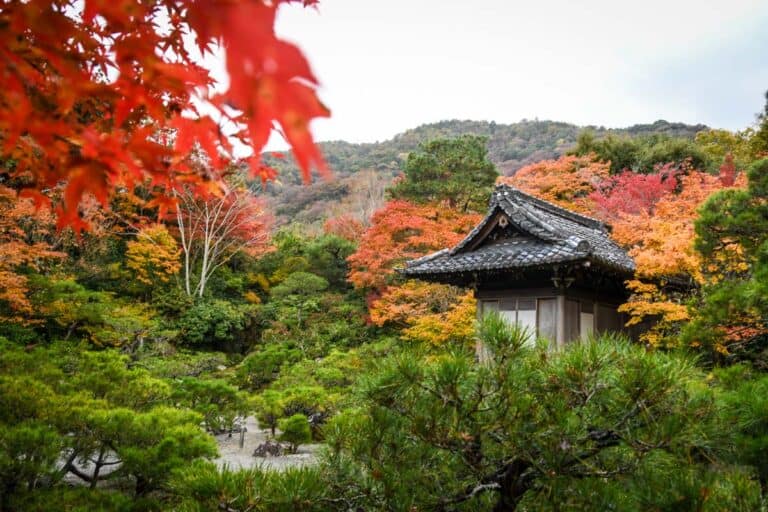Autumn in Japan: Where & When to See Fall Foliage (2026)
