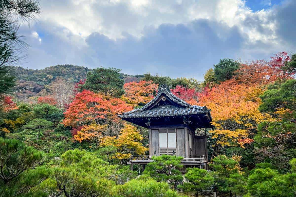 Autumn in Japan: Where & When to see Fall Foliage (2025)