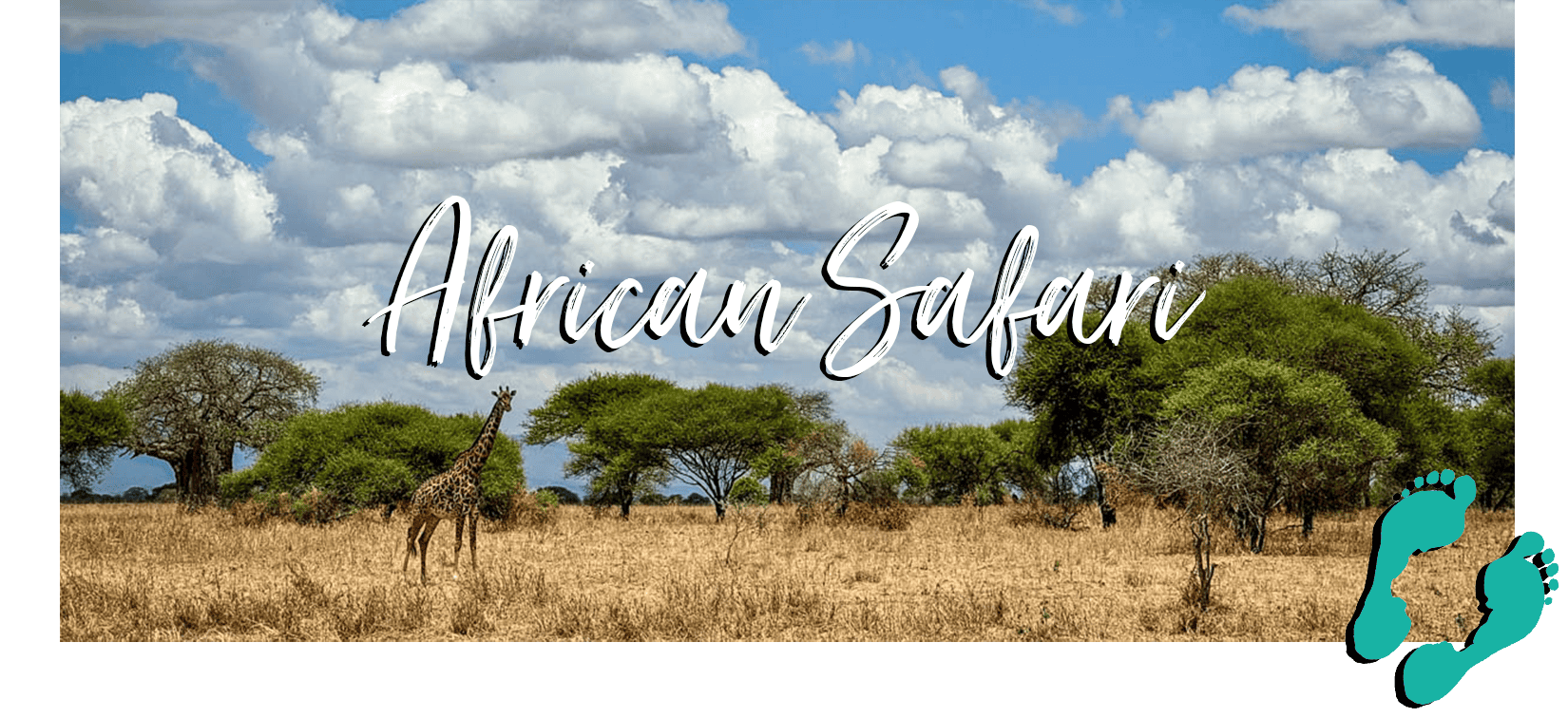 African Safari | Two Wandering Soles