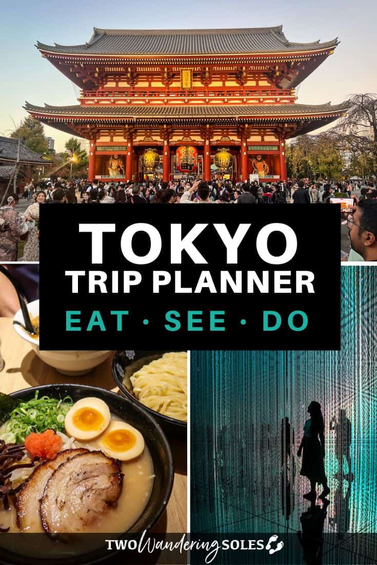 First Time in Tokyo: Everything You Need to Know | Two Wandering Soles