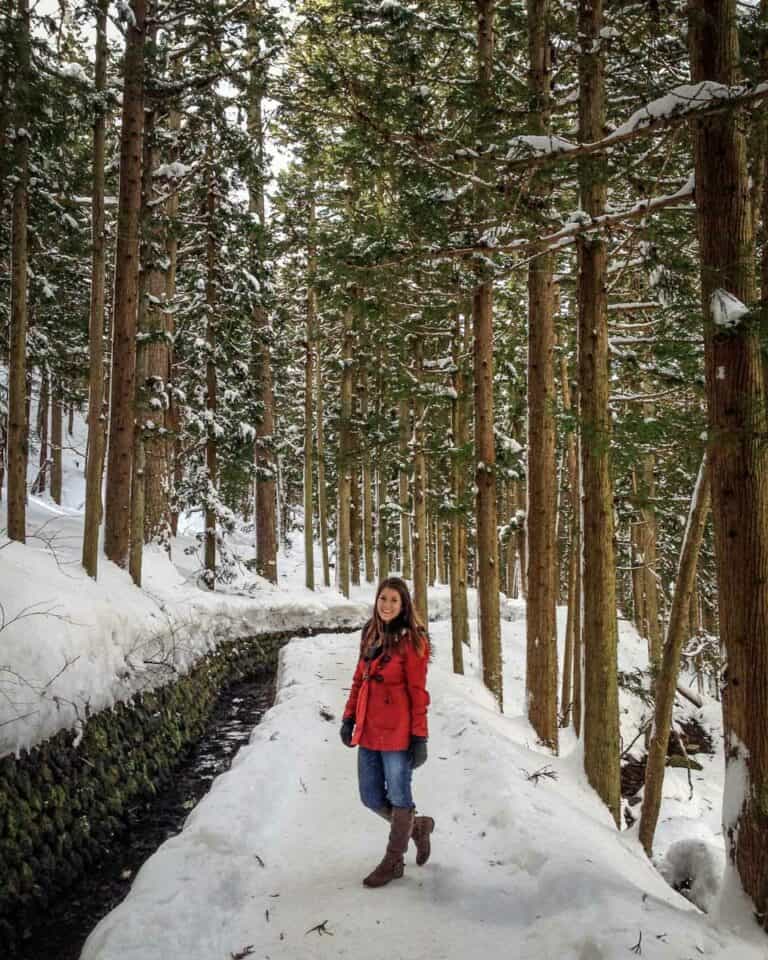 How to see Snow Monkeys in Japan | Two Wandering Soles