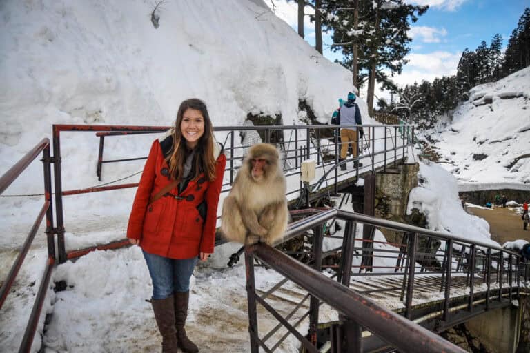 How to see Snow Monkeys in Japan | Two Wandering Soles